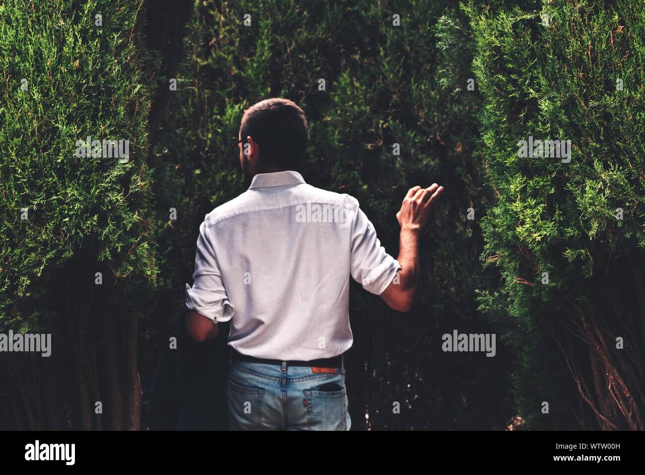 Man peeking hi-res stock photography and images - Alamy