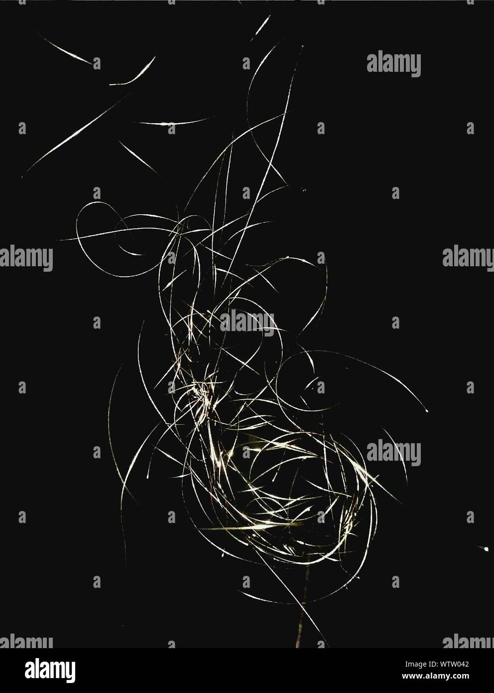 Black wires hi-res stock photography and images - Alamy