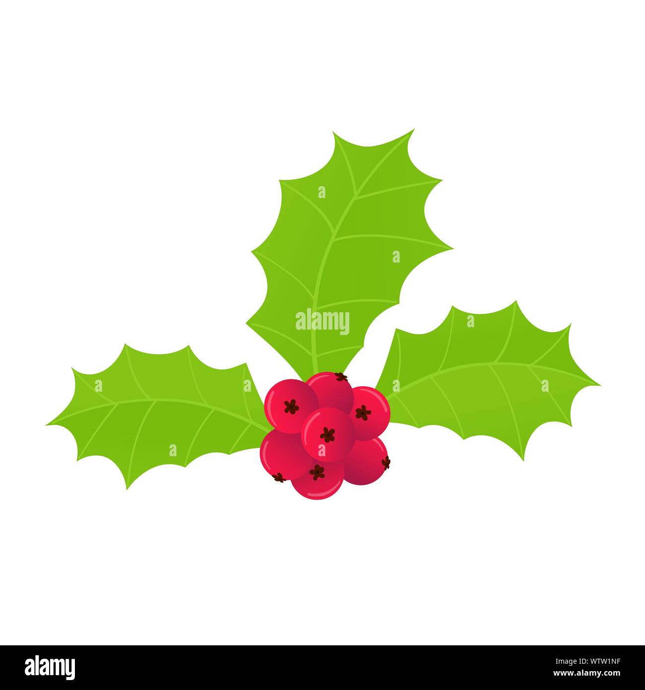 Winter and holiday symbol - holly berries icon sign. Green leaves and ...