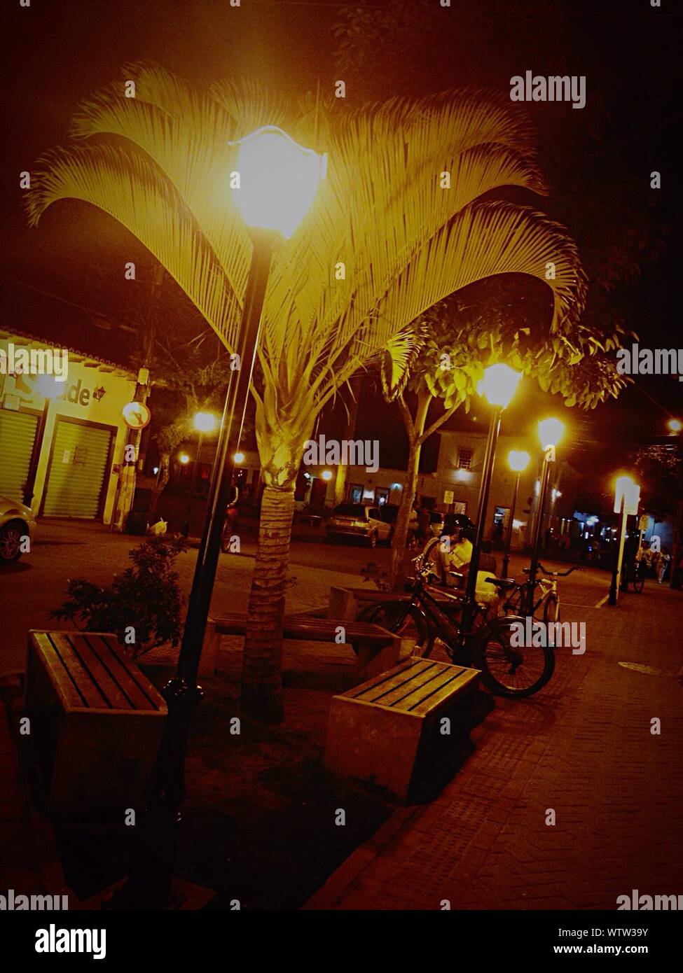 Trees and benches hi-res stock photography and images - Alamy