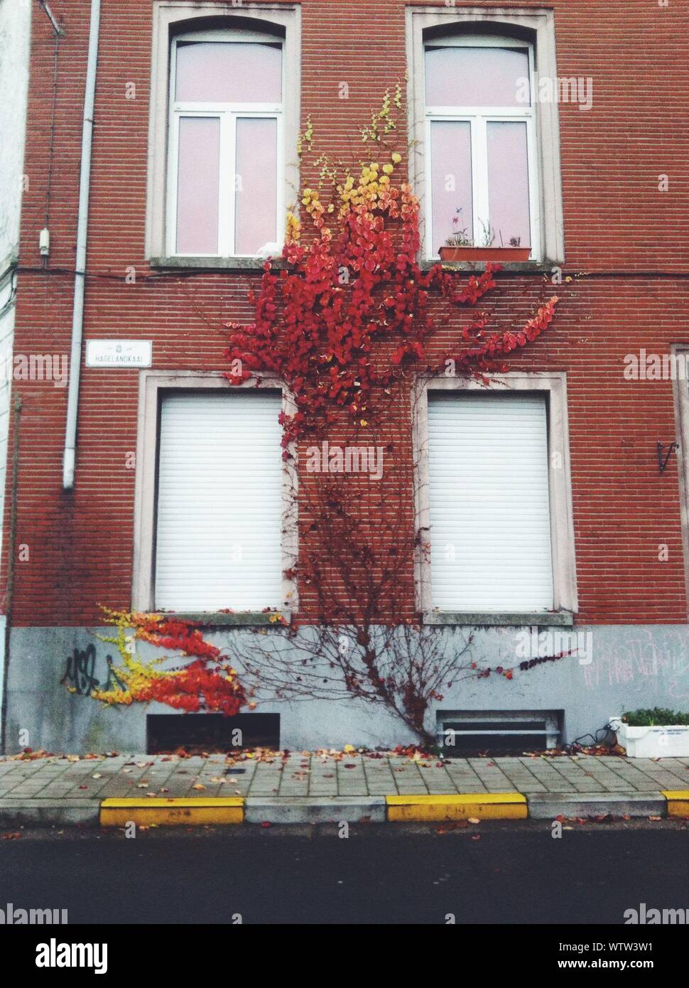 Vine building hi-res stock photography and images - Alamy