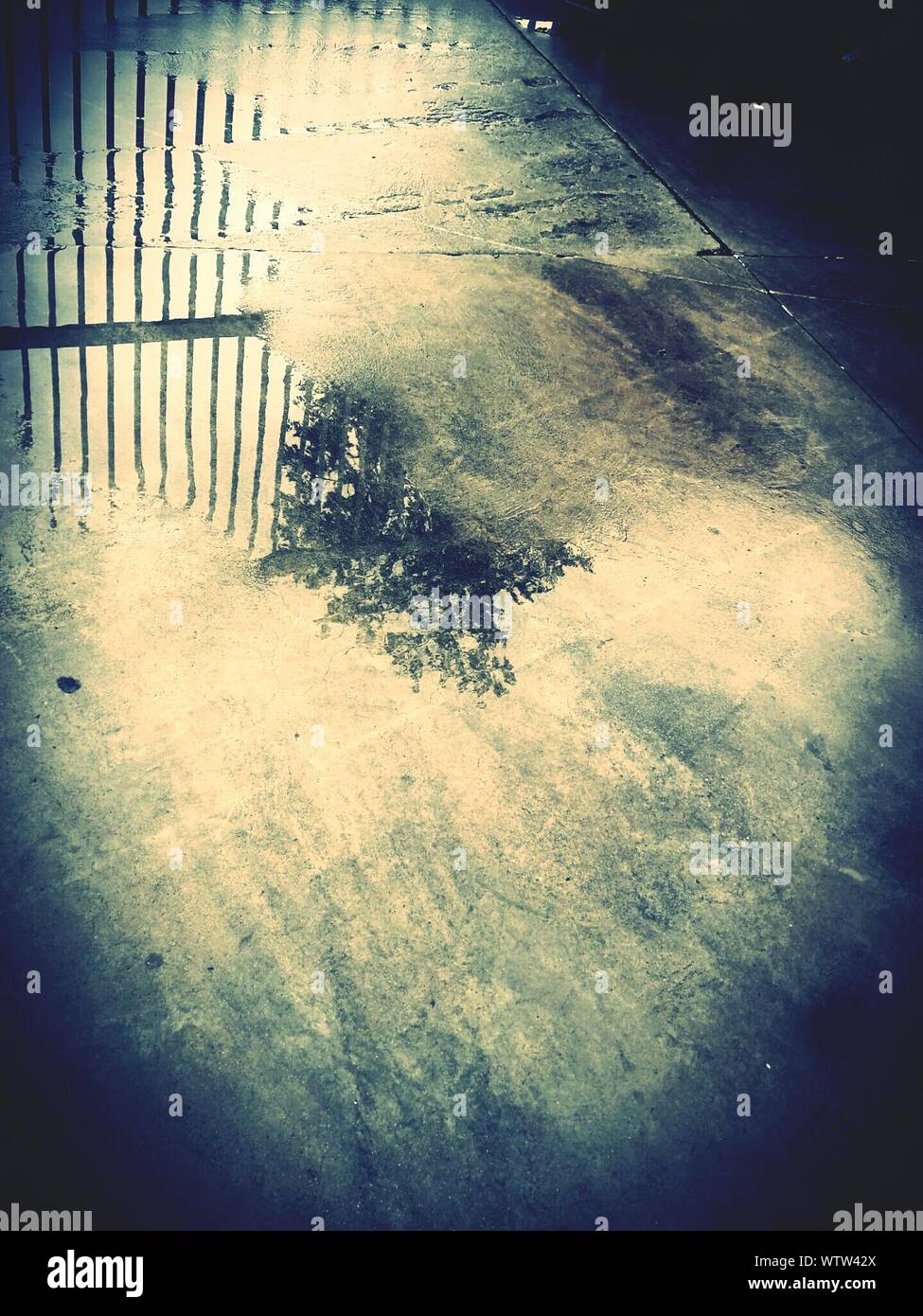 Gate Reflecting In Puddle On Street During Monsoon Stock Photo - Alamy