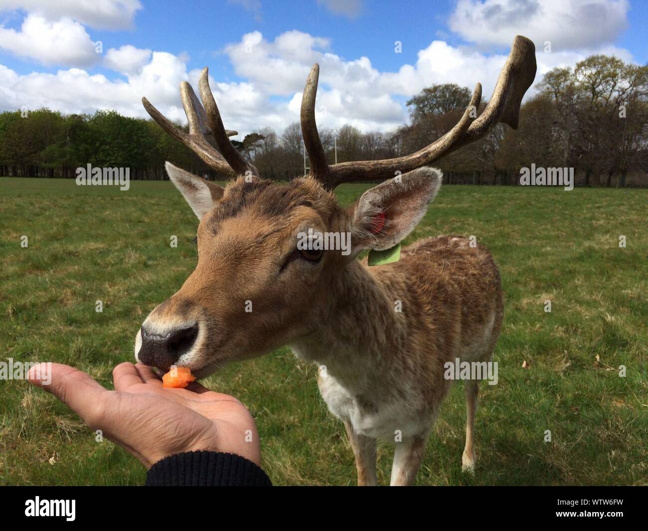 Man giving food hi-res stock photography and images - Alamy