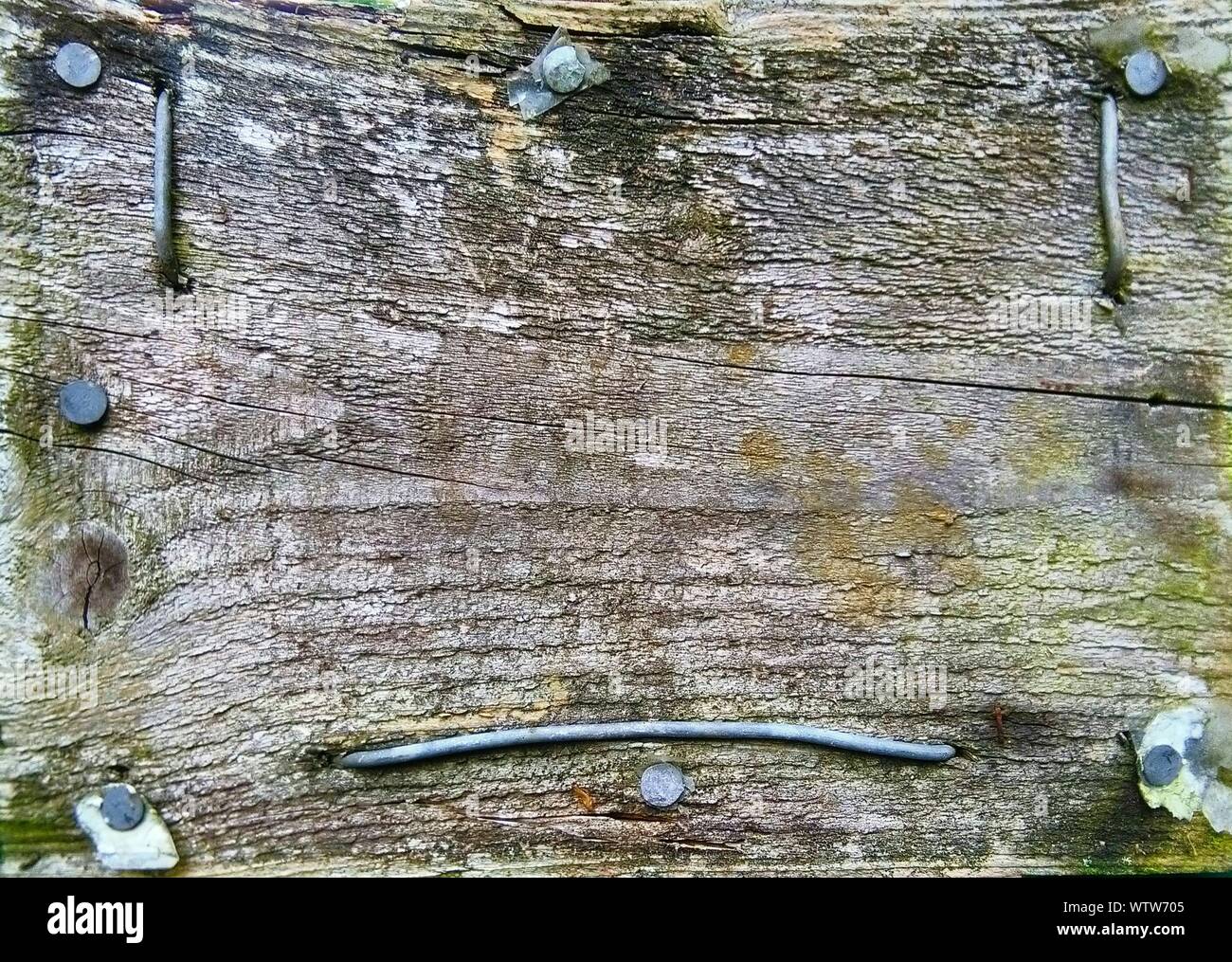 Board of nails hi-res stock photography and images - Alamy