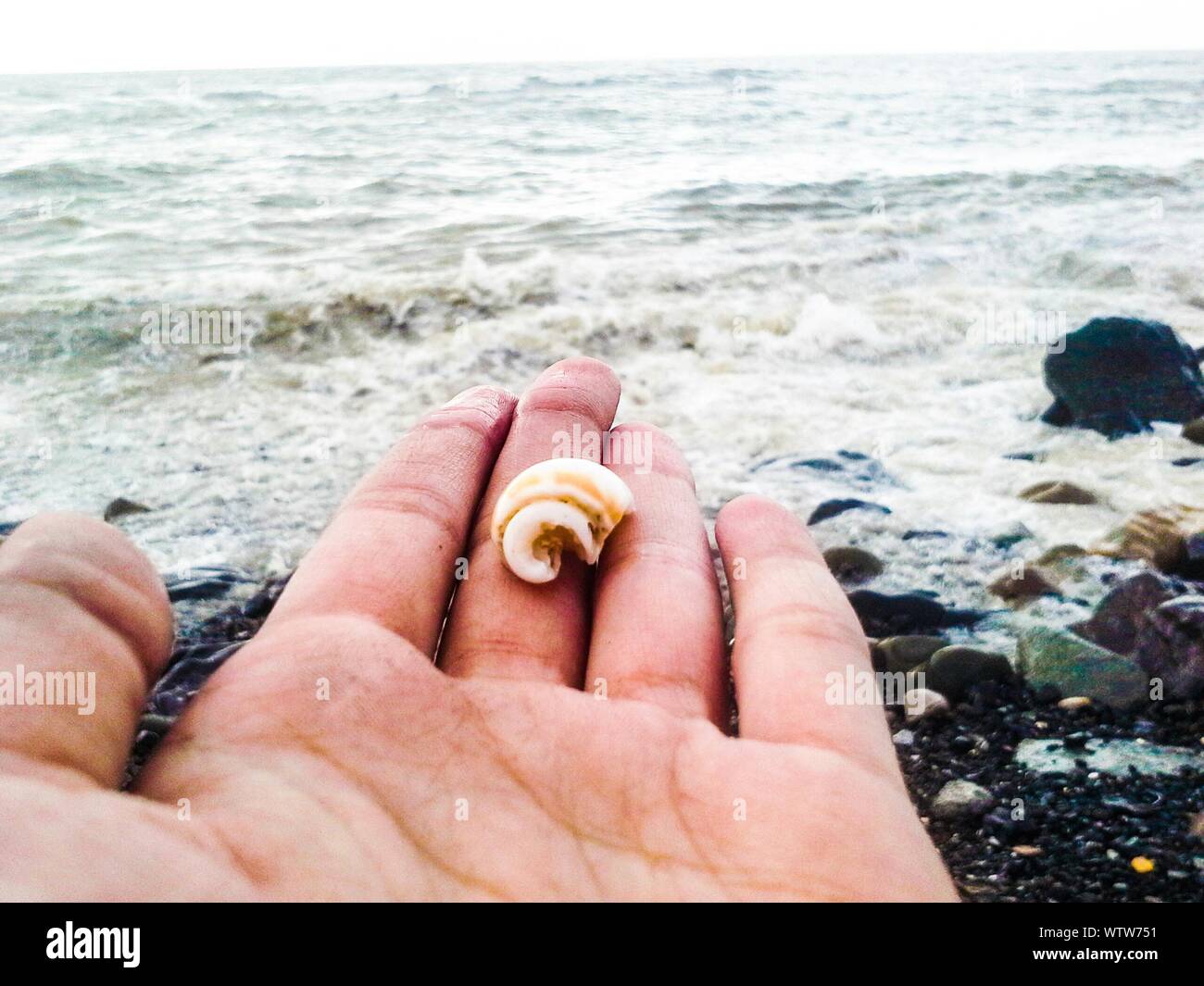Hand holding seashell hi-res stock photography and images - Alamy