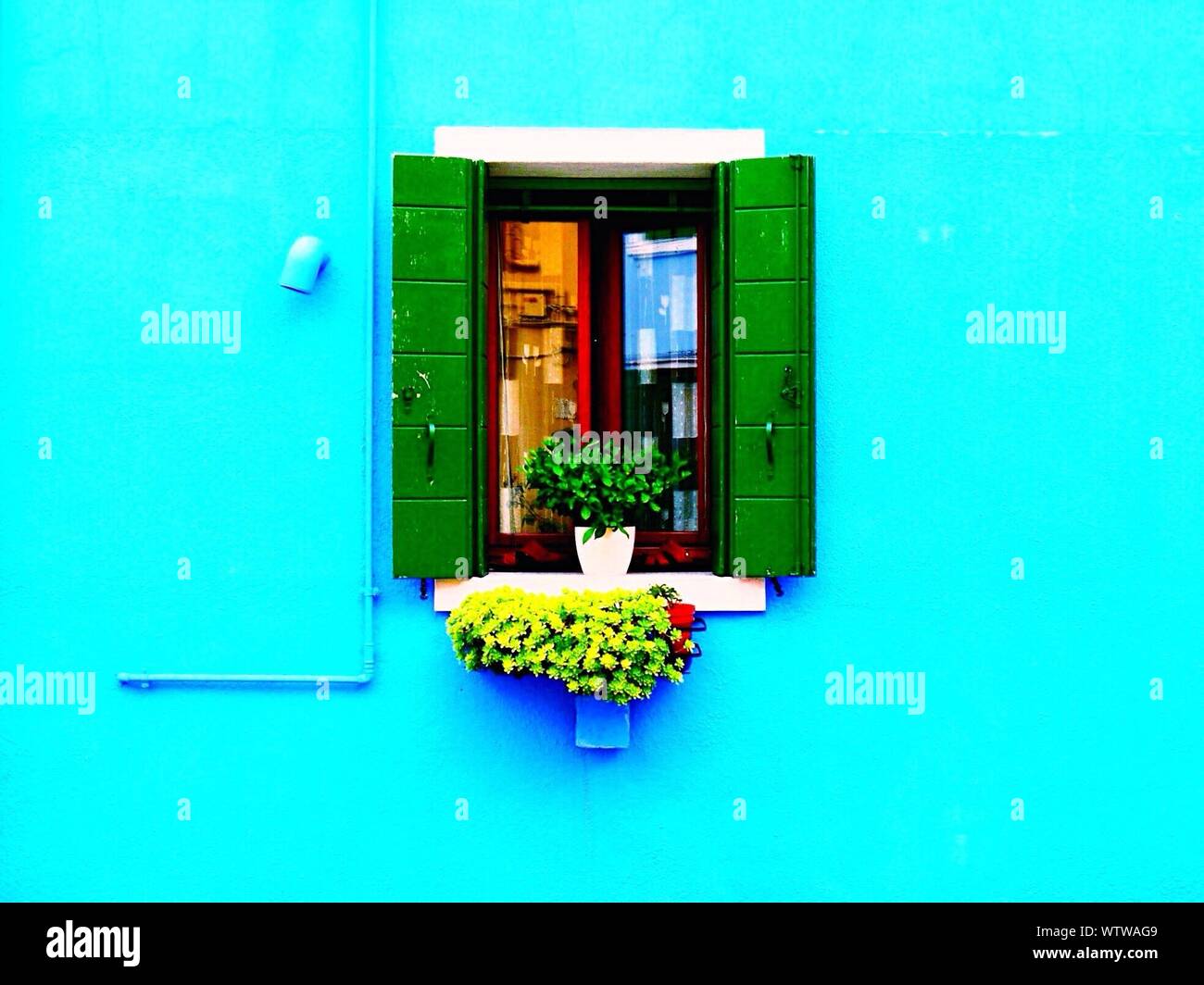 Open plant hi-res stock photography and images - Alamy