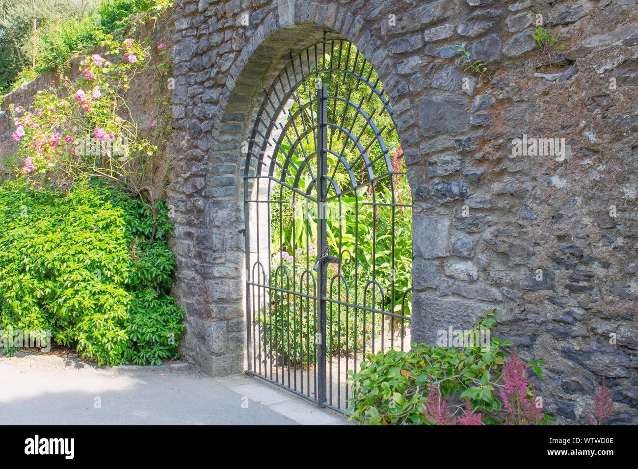 Gate plants hi-res stock photography and images - Alamy