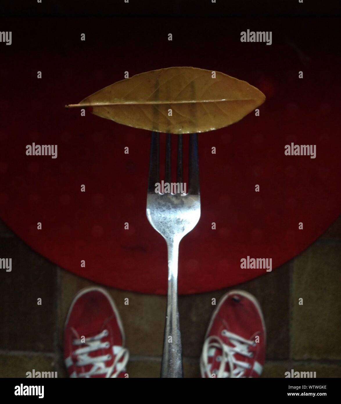 Fork and leaf hi-res stock photography and images - Alamy