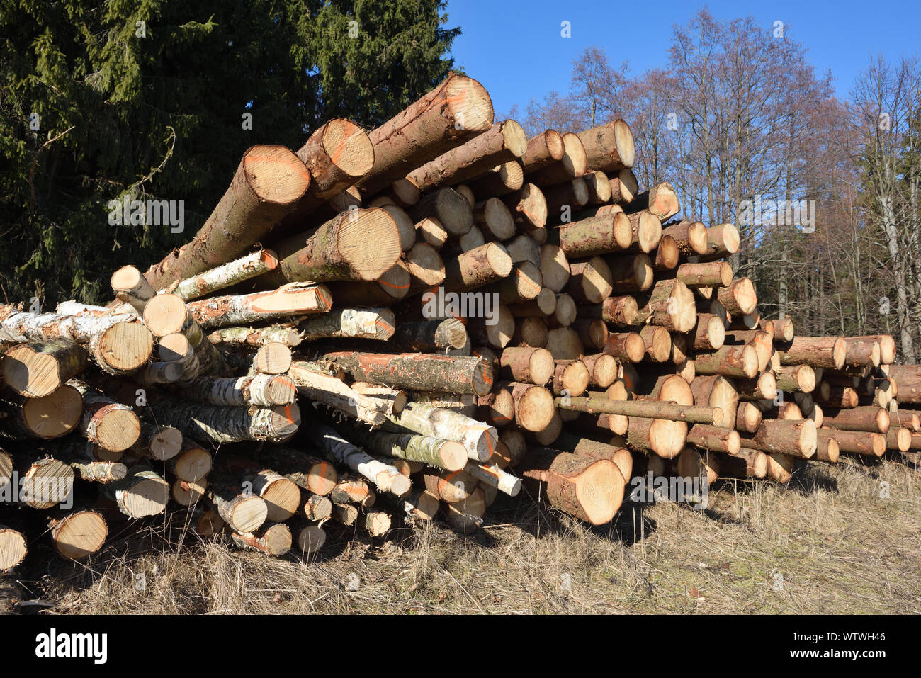 Logging wall hi-res stock photography and images - Alamy