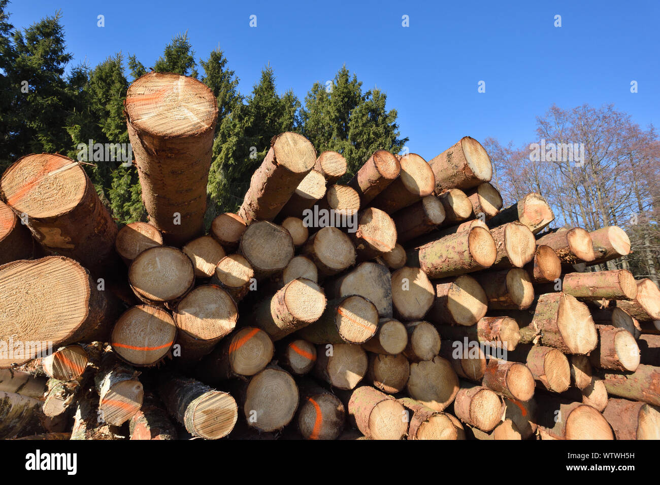 Logging wall hi-res stock photography and images - Alamy