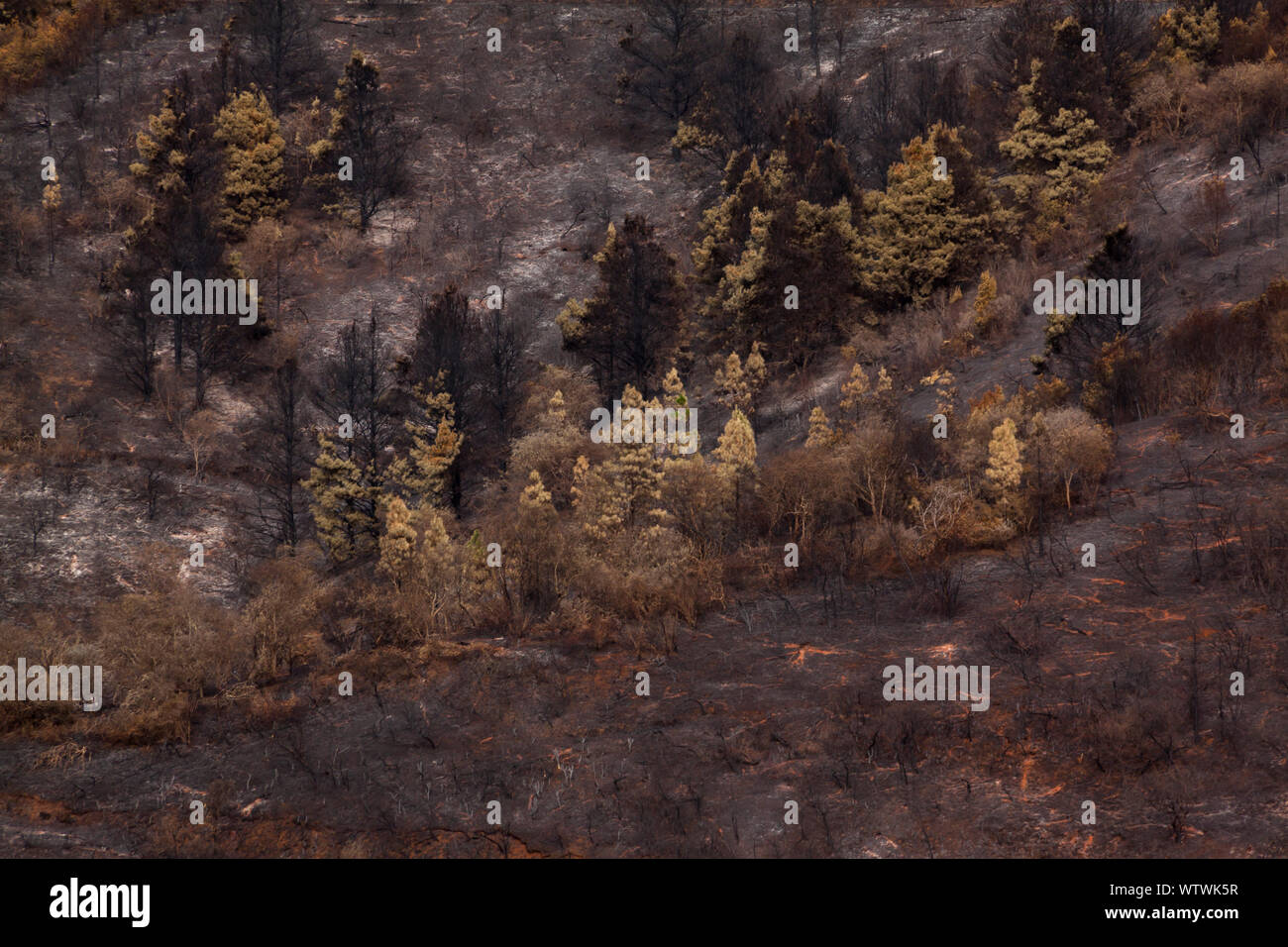 Europe forest fires hi-res stock photography and images - Alamy