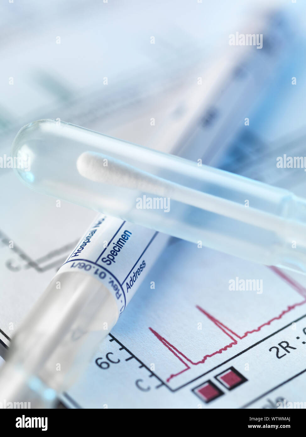 Swab containing a DNA (Deoxyribonucleic acid) human sample with genetic ...