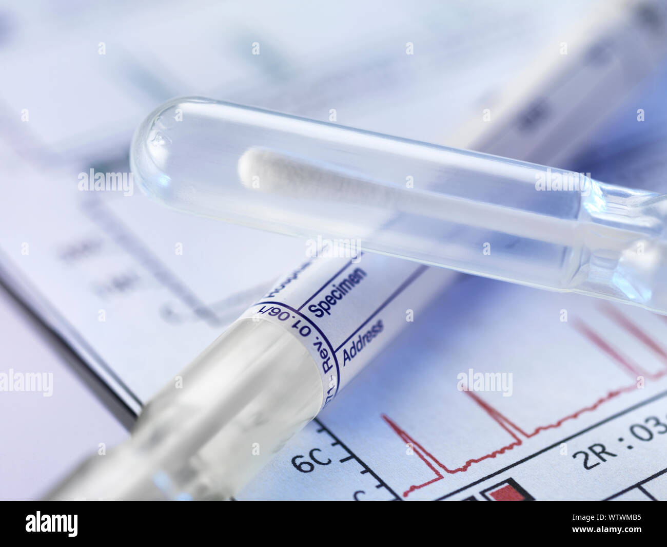 Swab containing a DNA (Deoxyribonucleic acid) human sample with genetic ...