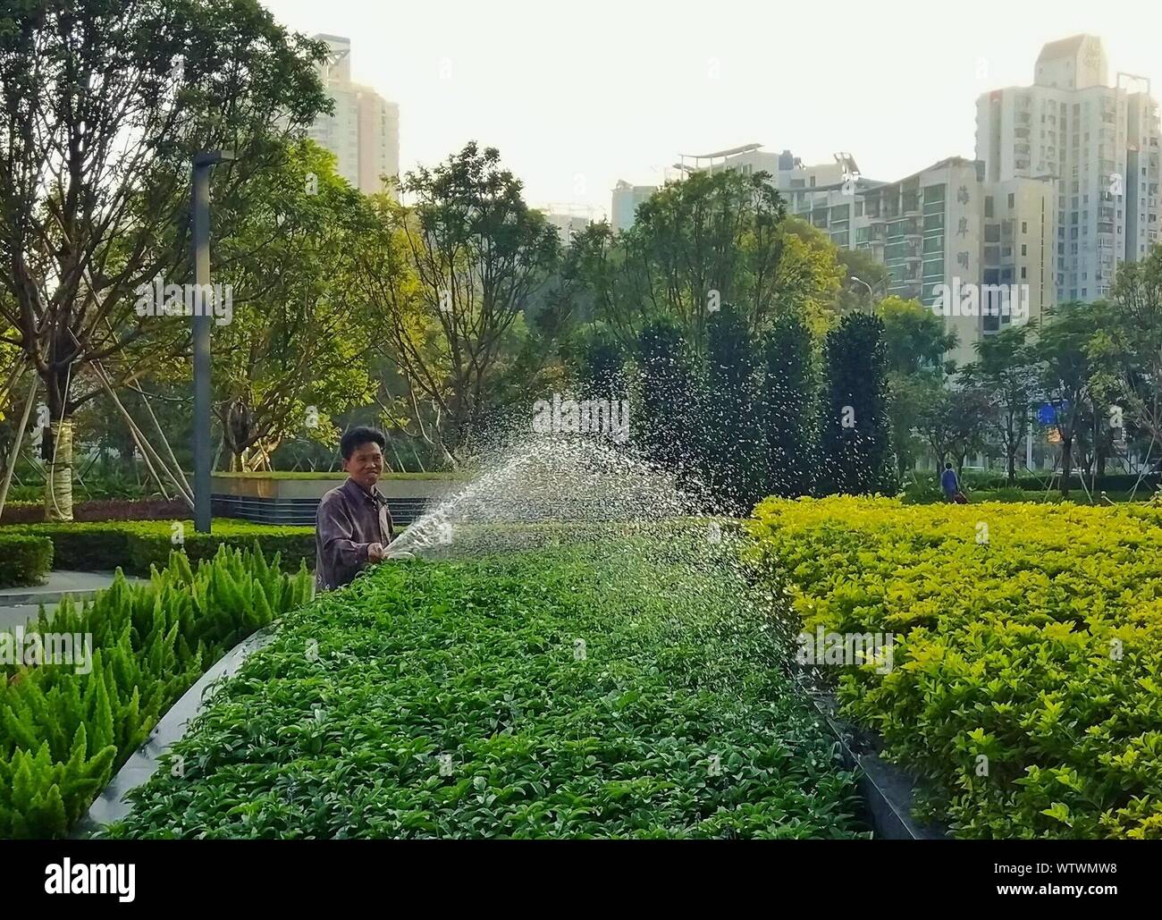 Asian water garden hi-res stock photography and images - Alamy
