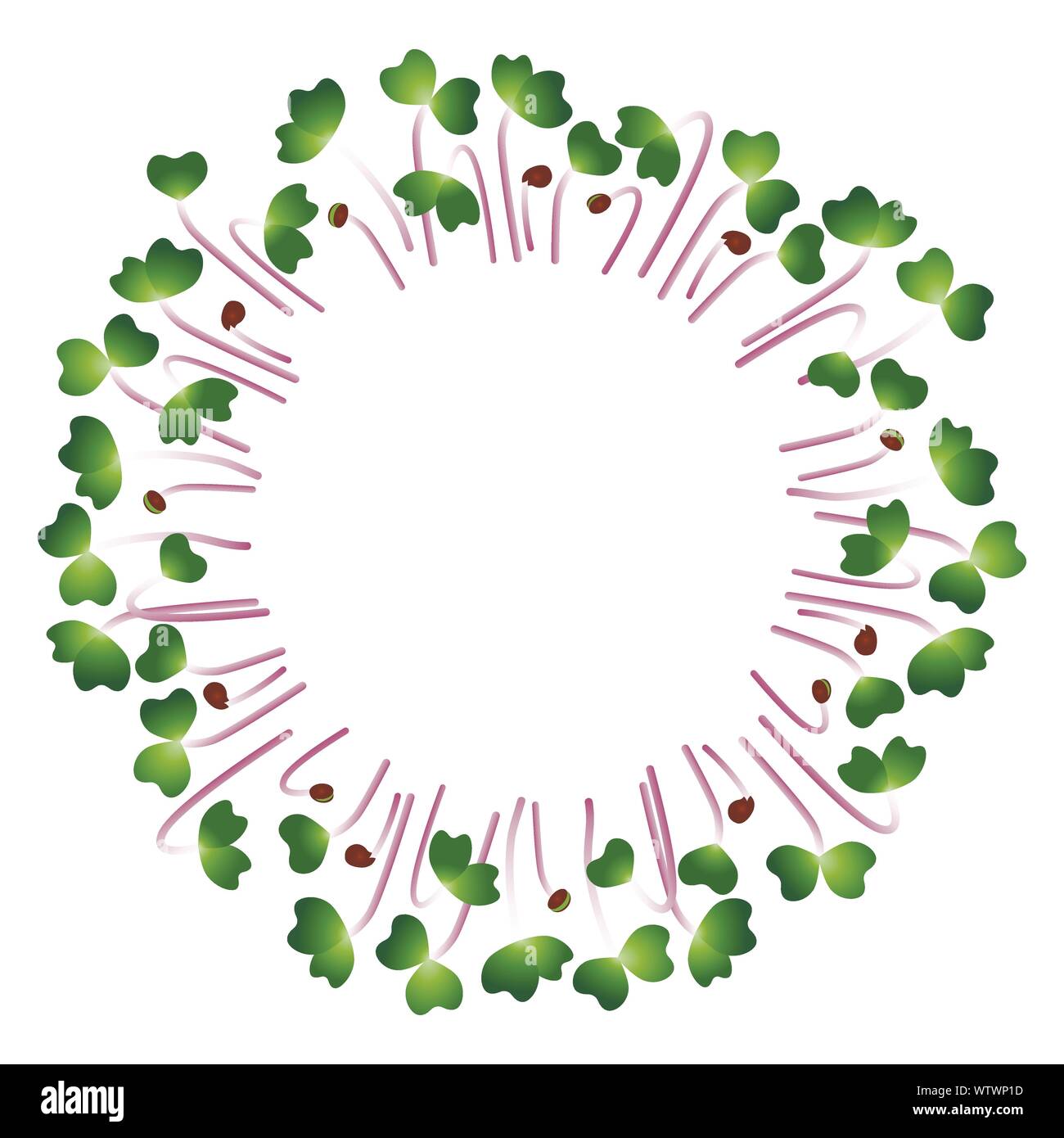 Purple kale Stock Vector Images - Alamy