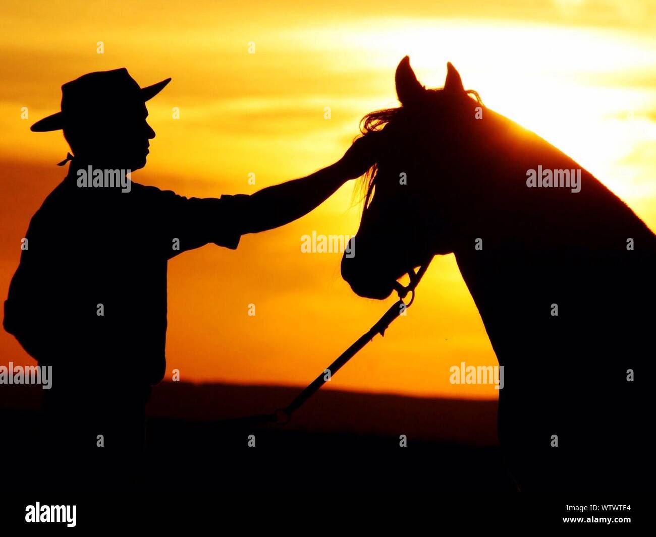 Silhouette man horse against sunset hi-res stock photography and images ...