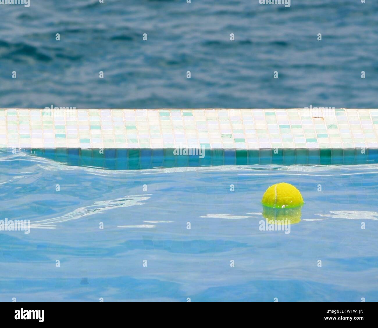 Tennis ball water not dog hi-res stock photography and images - Alamy