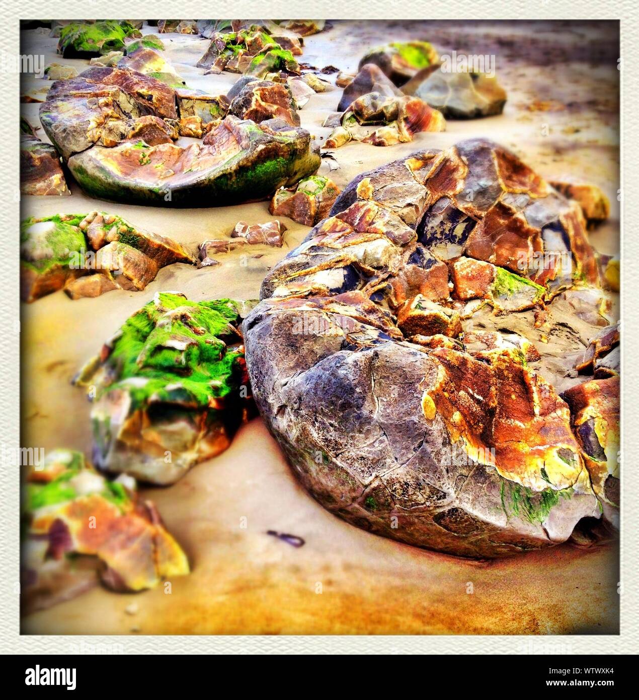 Moss Covered Rocks On Beach Stock Photo - Alamy