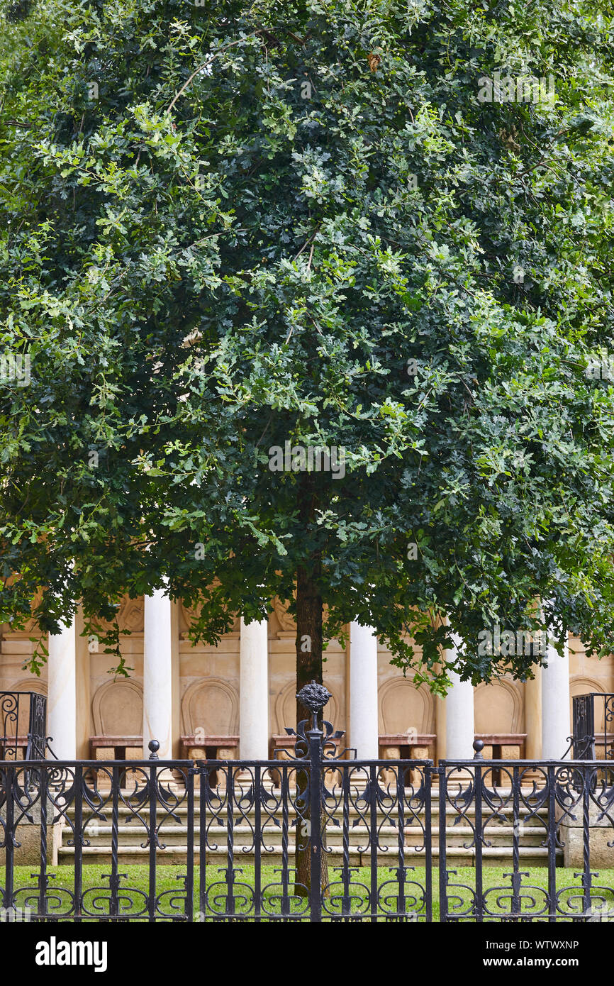 Guernica tree hi-res stock photography and images - Alamy