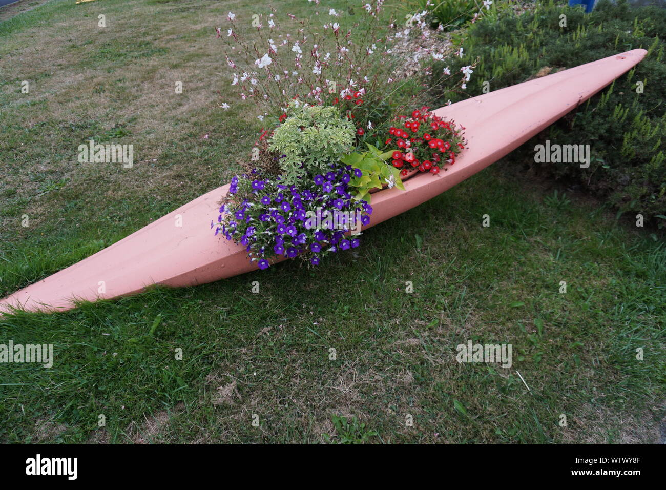 Pink canoe hi-res stock photography and images - Alamy