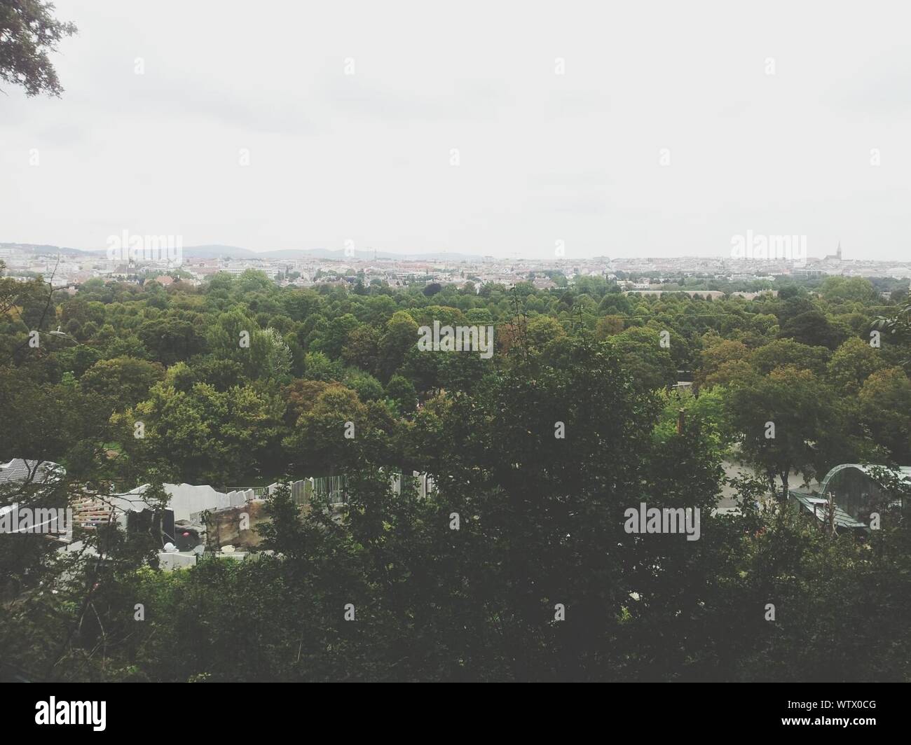 The forest city hi-res stock photography and images - Alamy