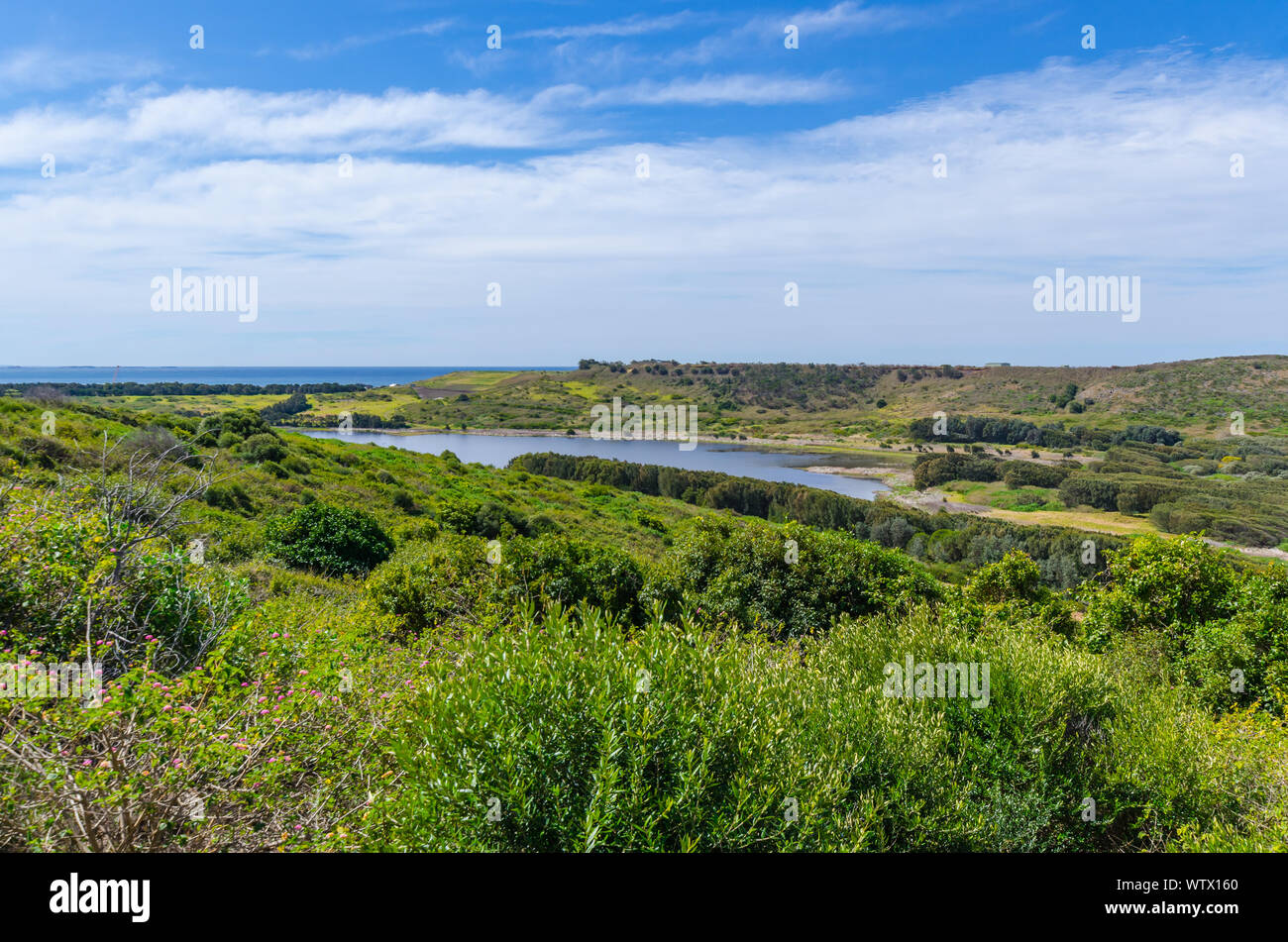 Killalea Reserve Shellharbour Stock Photo - Alamy
