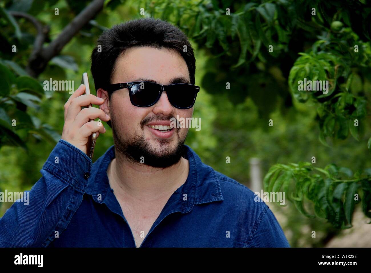 Talking tree hi-res stock photography and images - Alamy