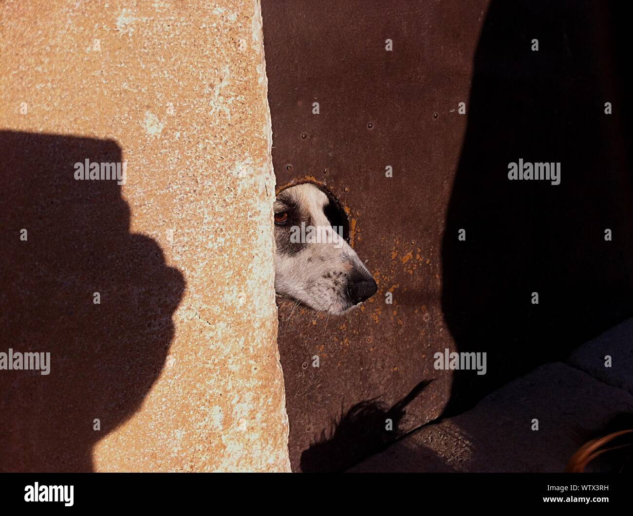 Hole to see through door hi-res stock photography and images - Alamy