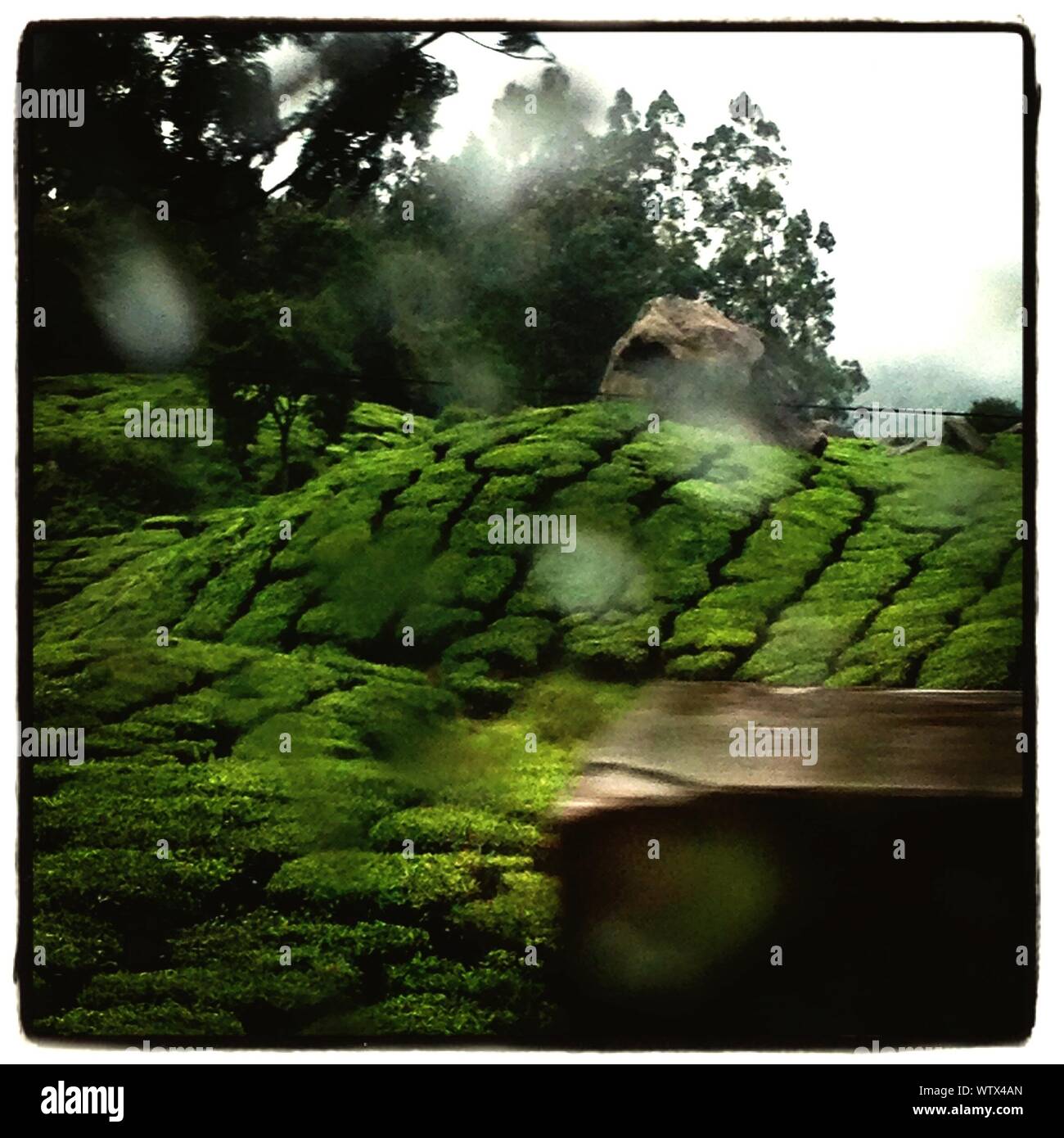 Beauty of hill Cut Out Stock Images & Pictures - Alamy