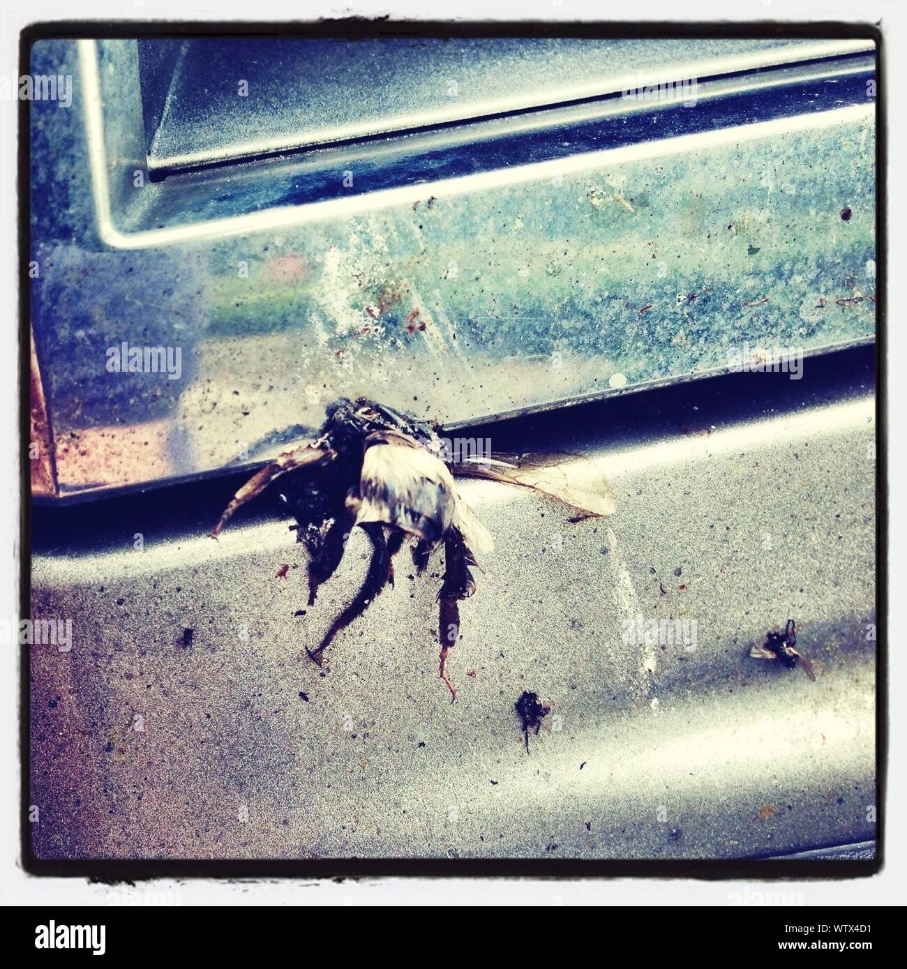 Under the door hi-res stock photography and images - Alamy