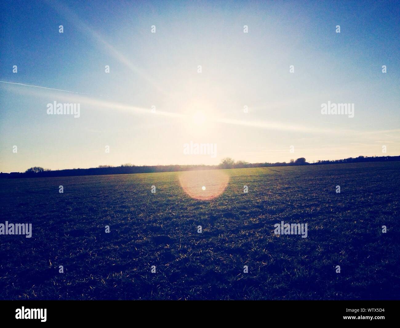 Setting field hi-res stock photography and images - Alamy