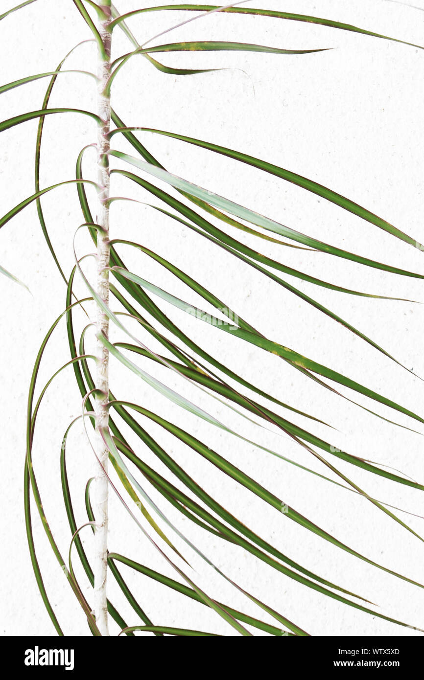 Moving leaf hi-res stock photography and images - Alamy