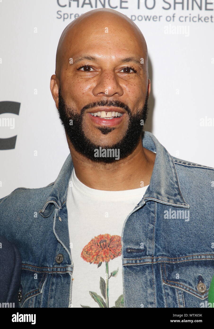 Common Rapper Beard
