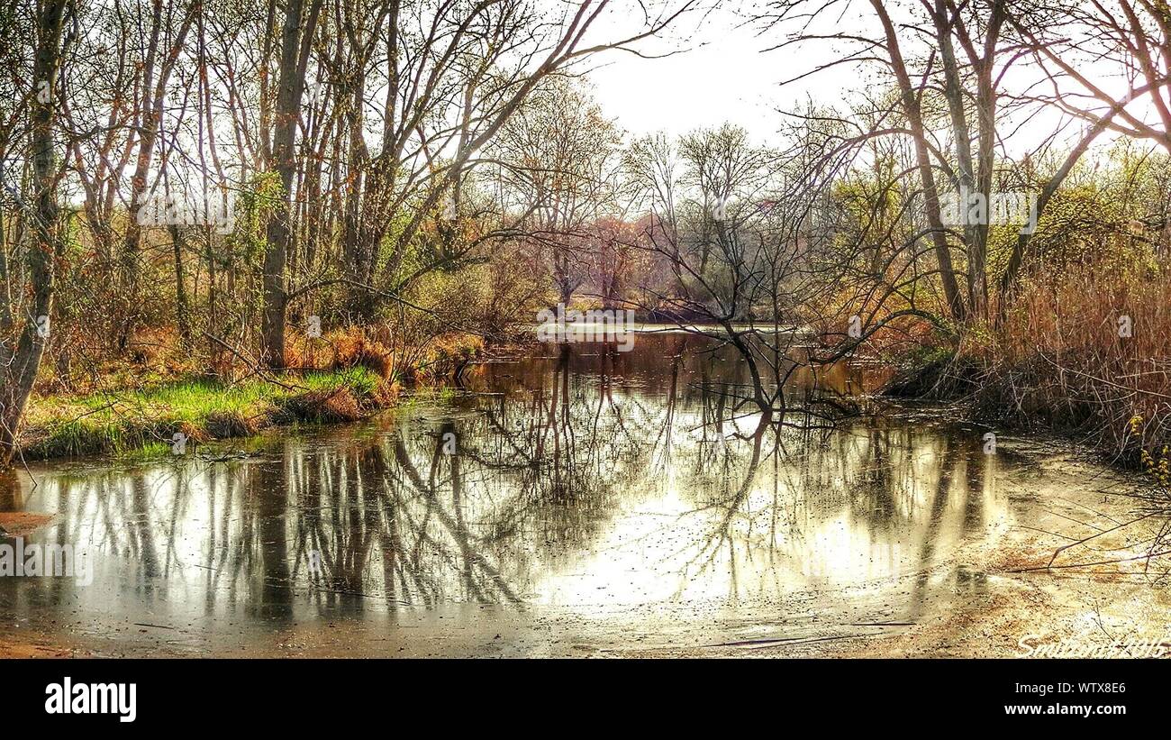 Dirty forest hi-res stock photography and images - Alamy