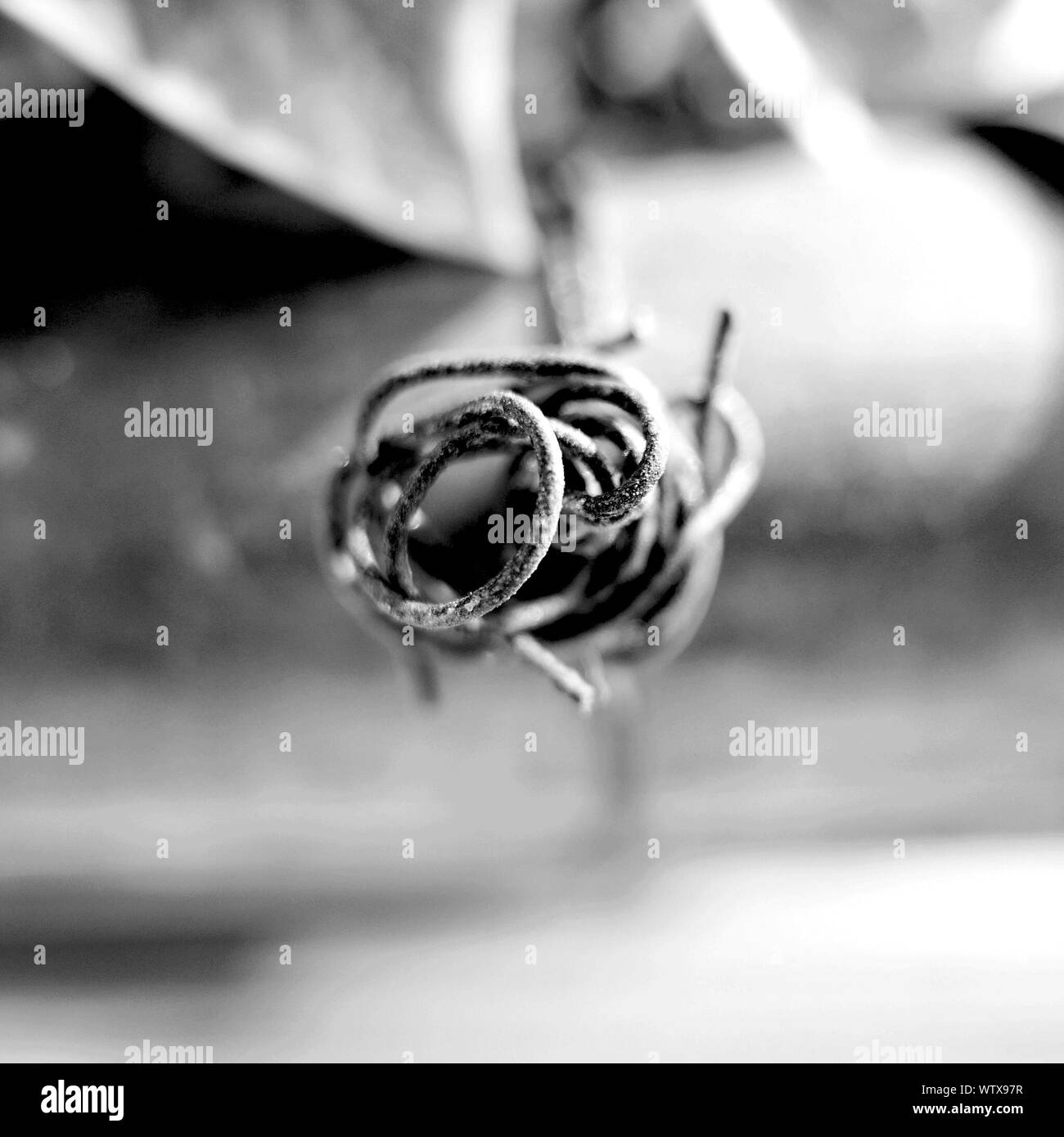 Connection tangled hi-res stock photography and images - Alamy