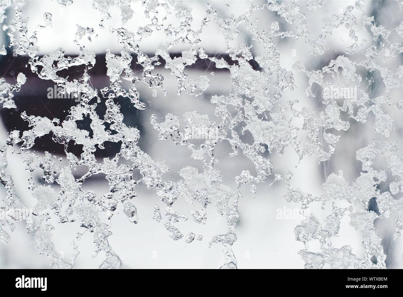 Ice spider hi-res stock photography and images - Alamy