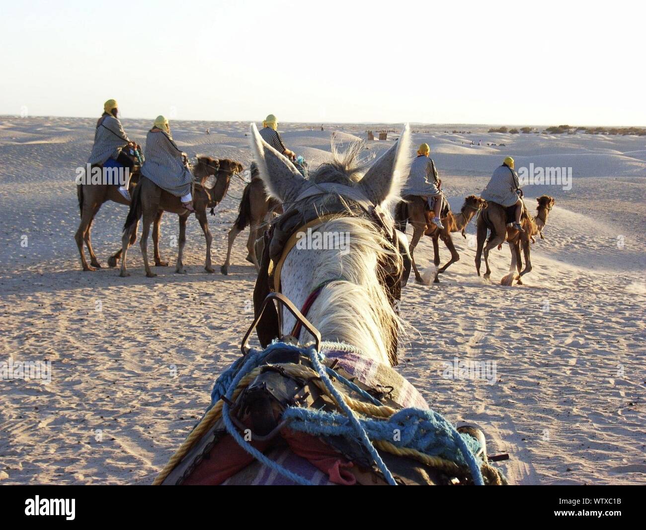 Riding animals hi-res stock photography and images - Alamy