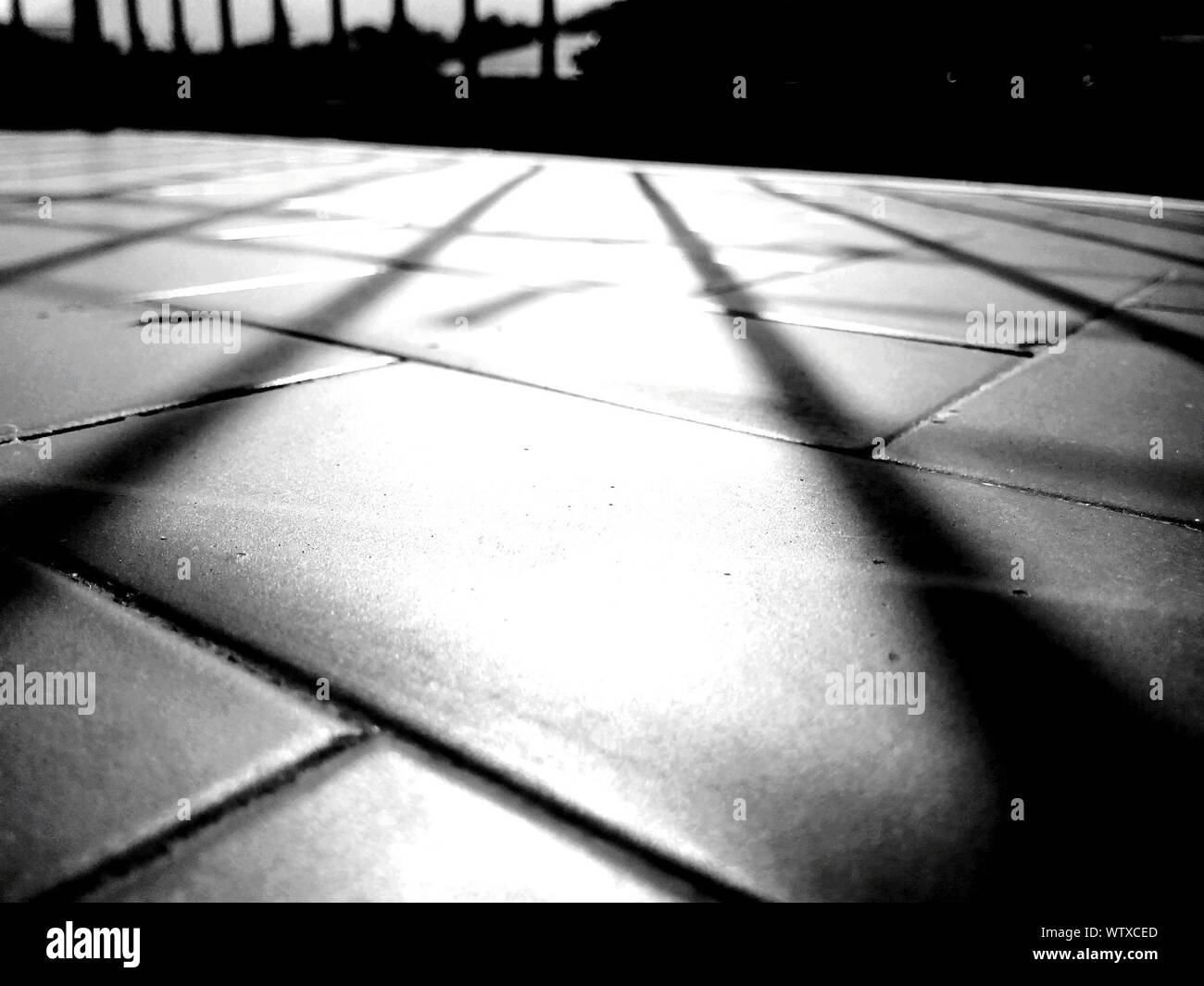 Surface Level Of Tiled Floor Stock Photo - Alamy