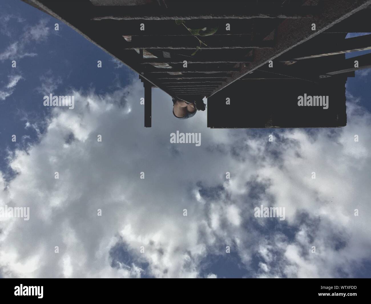 Person up ladder hi-res stock photography and images - Alamy