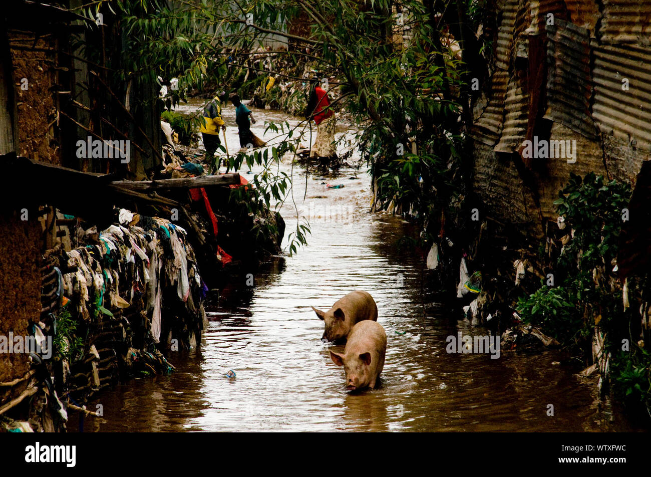 Slum In Kenya High Resolution Stock Photography and Images - Alamy
