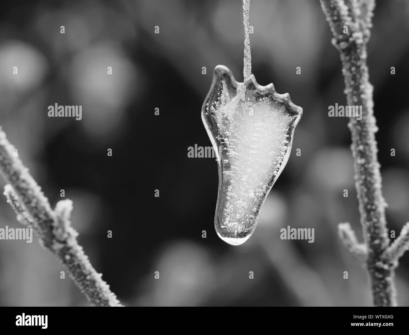 Hanging ice hi-res stock photography and images - Alamy