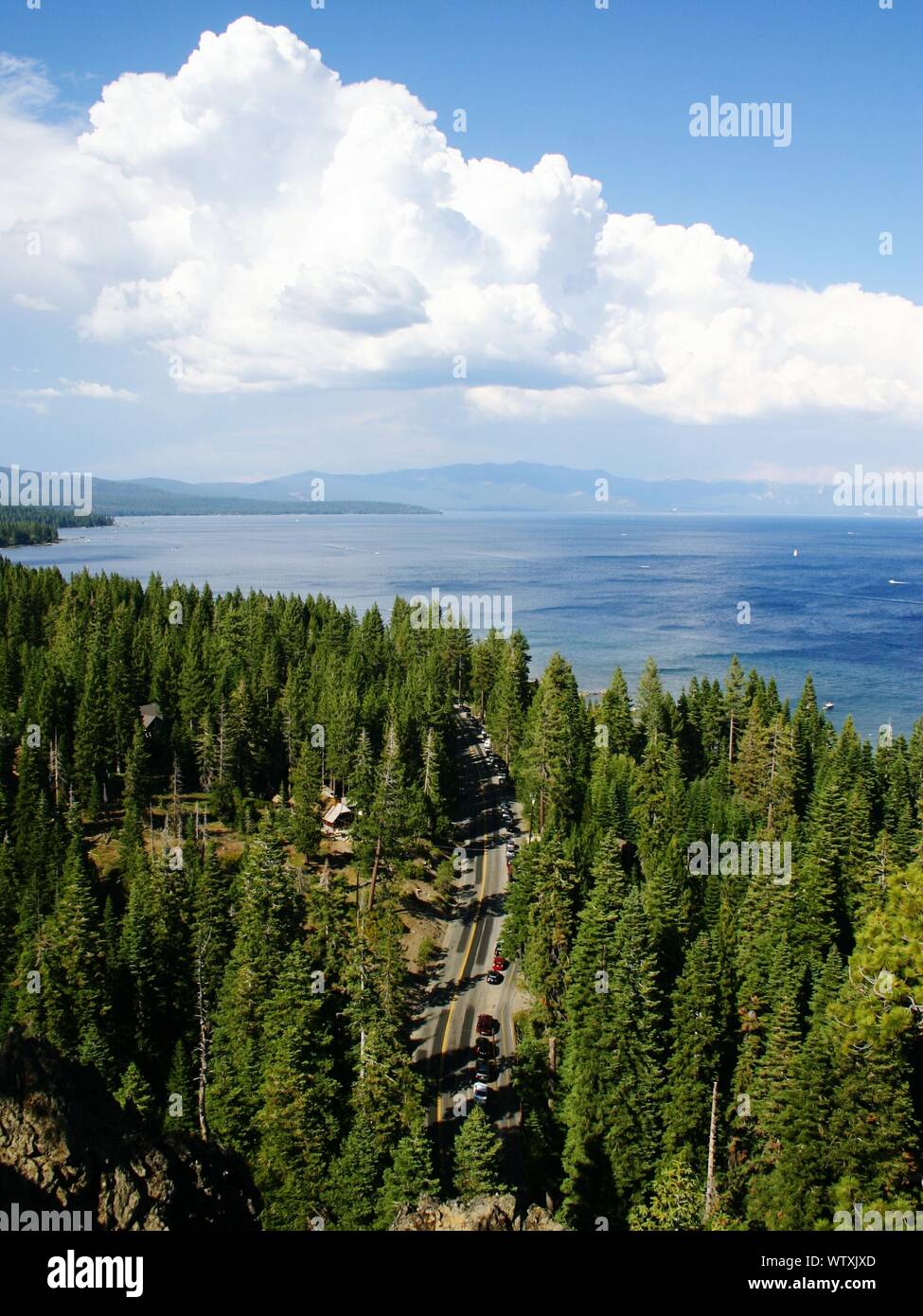 Lake tahoe trees hi-res stock photography and images - Alamy