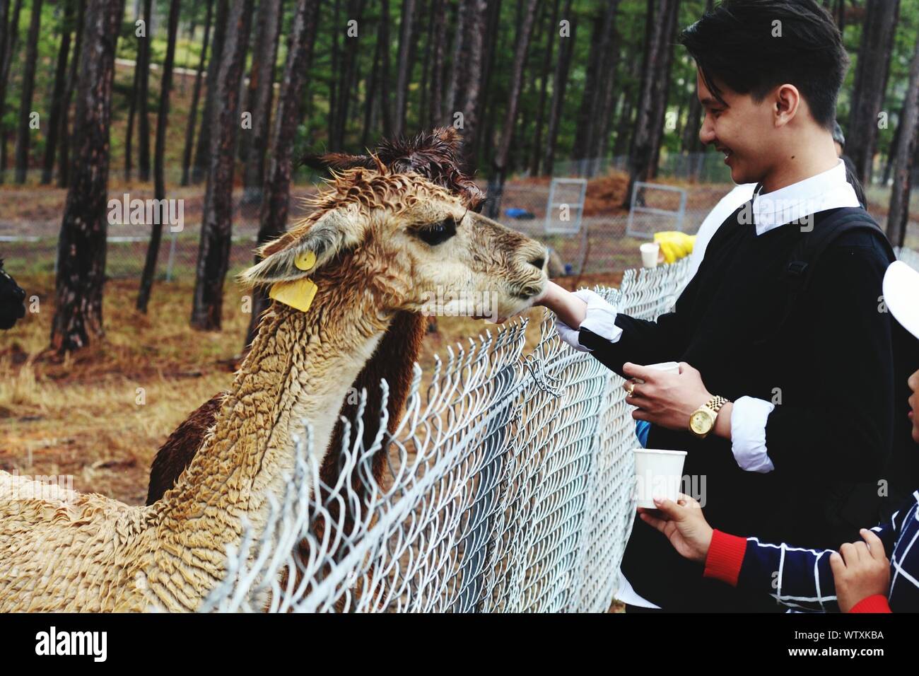 People feeding animals hi-res stock photography and images - Alamy