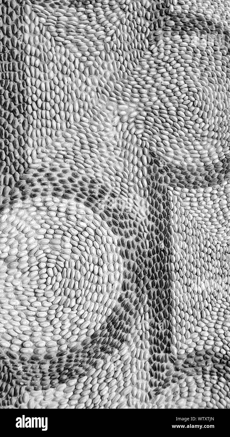 Pebbled ground hi-res stock photography and images - Alamy