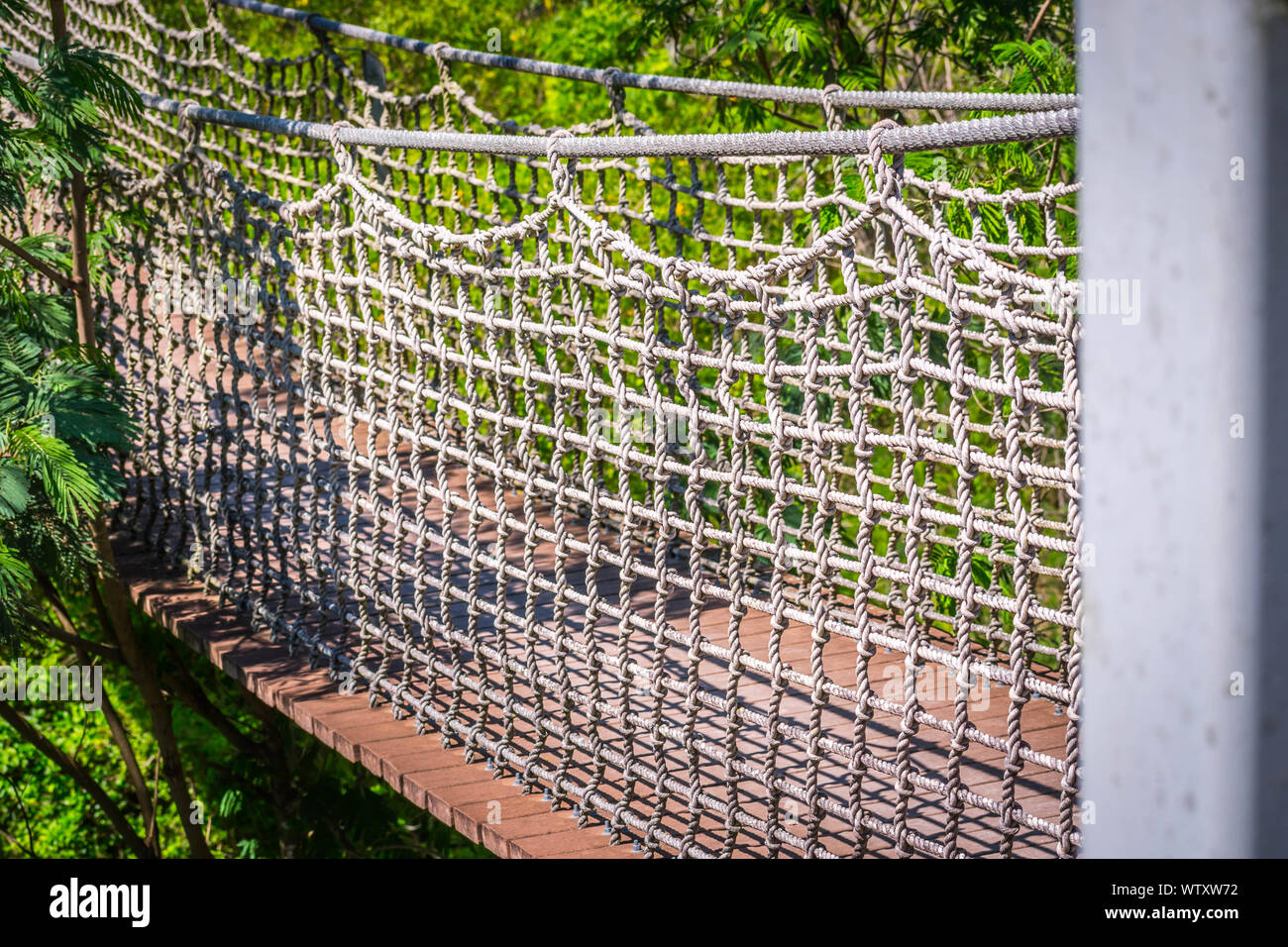 Texas trees canopy hi-res stock photography and images - Alamy