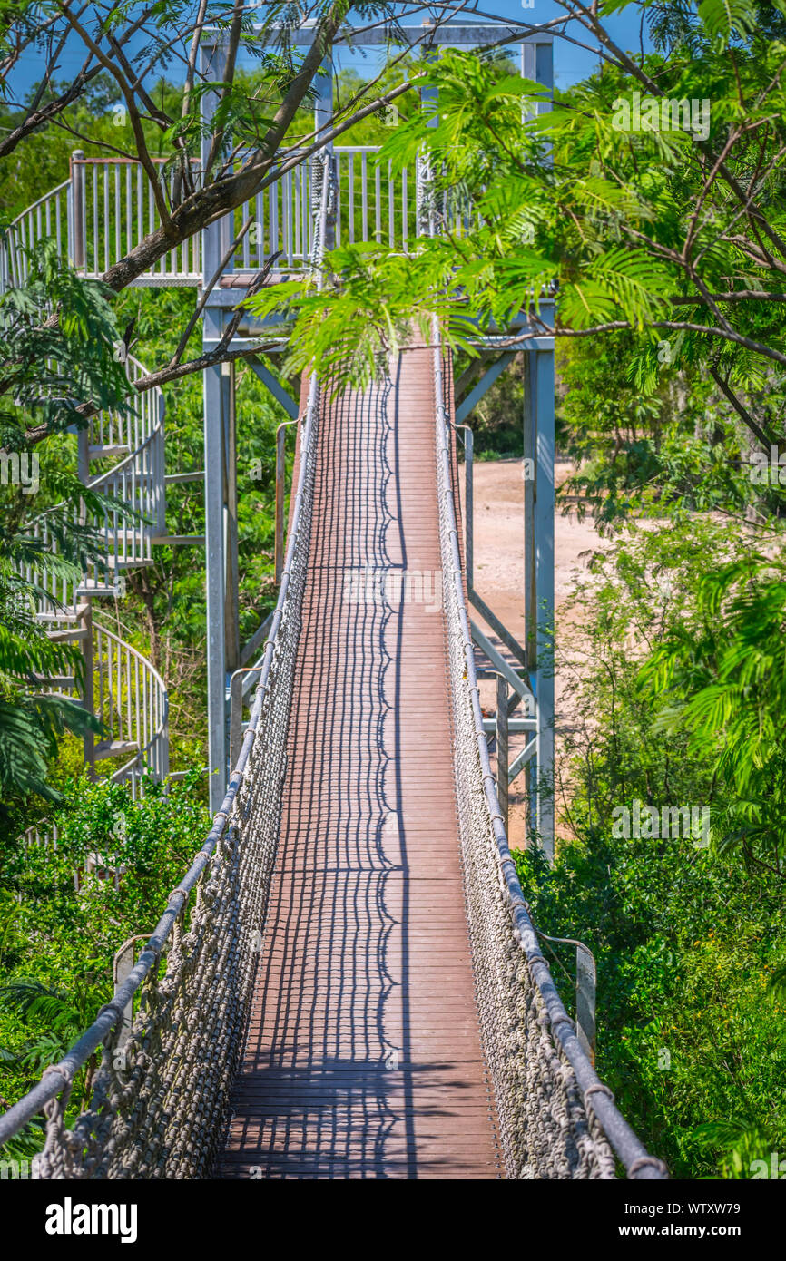 Texas trees canopy hi-res stock photography and images - Alamy