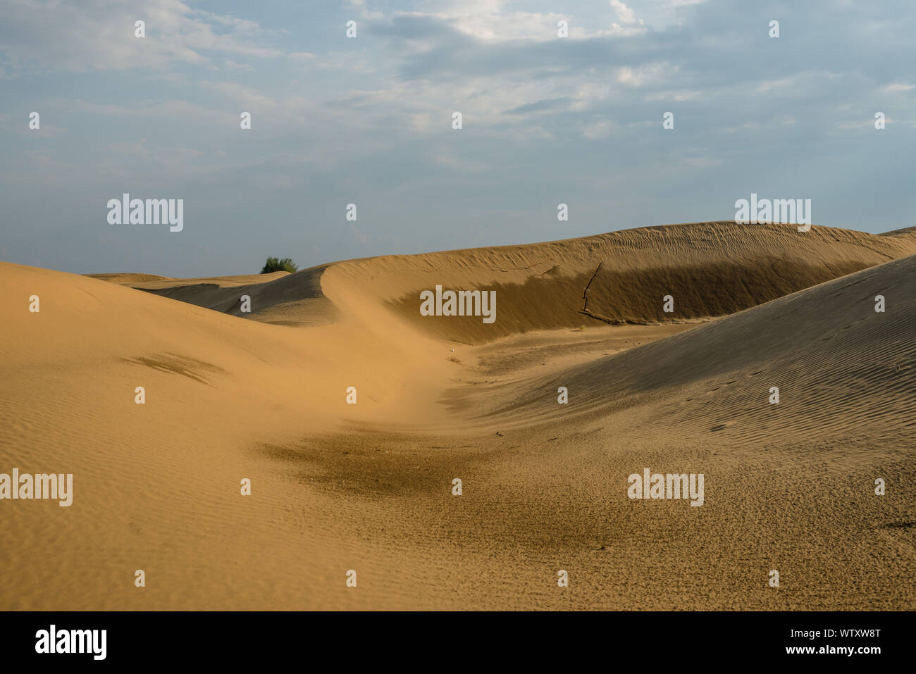 Dunes of Thar Desert. Sam Sand dunes, Rajasthan, India Stock Photo - Alamy