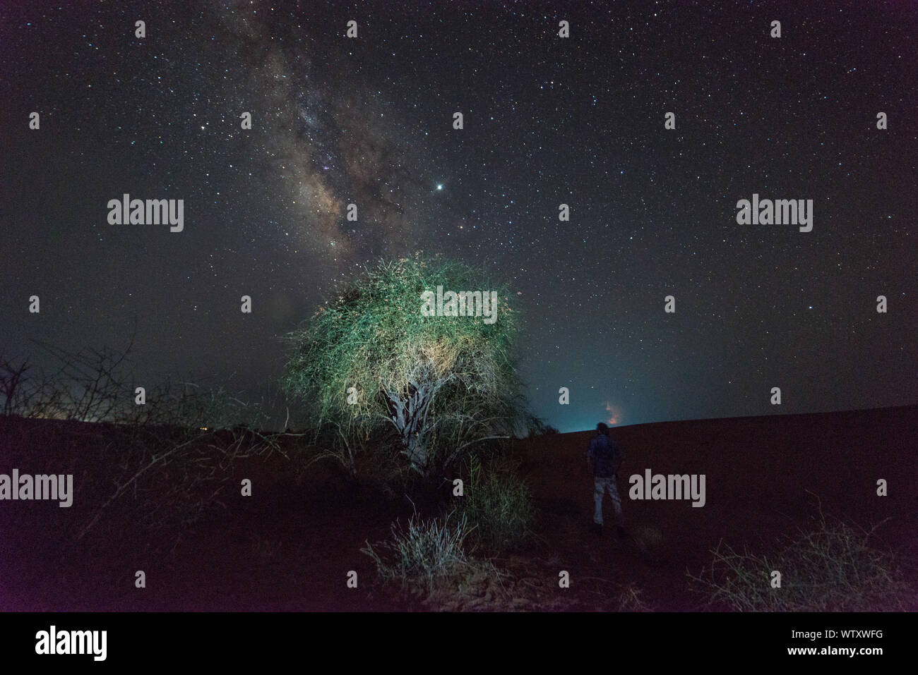 A picture of the milkyway galaxy in thar desert over tree Stock Photo ...