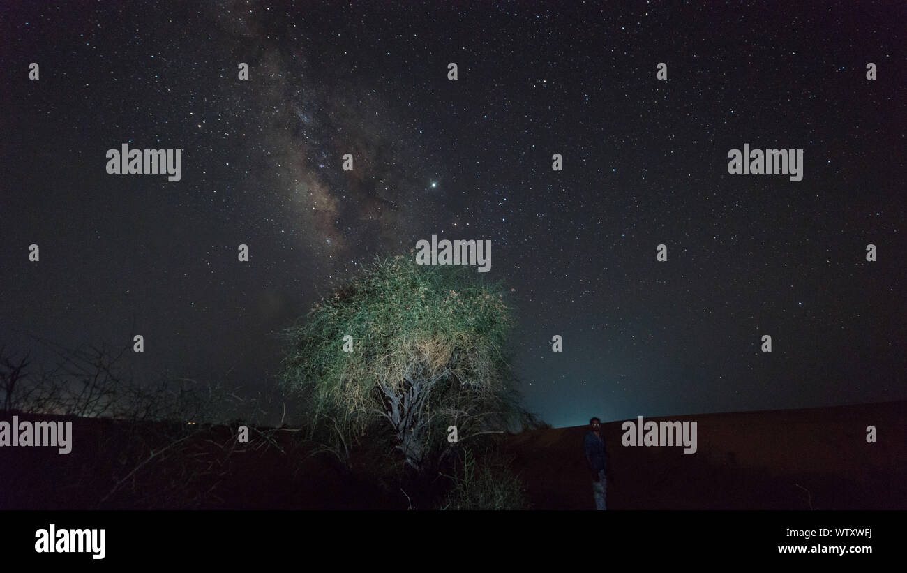 A picture of the milkyway galaxy in thar desert over tree Stock Photo ...