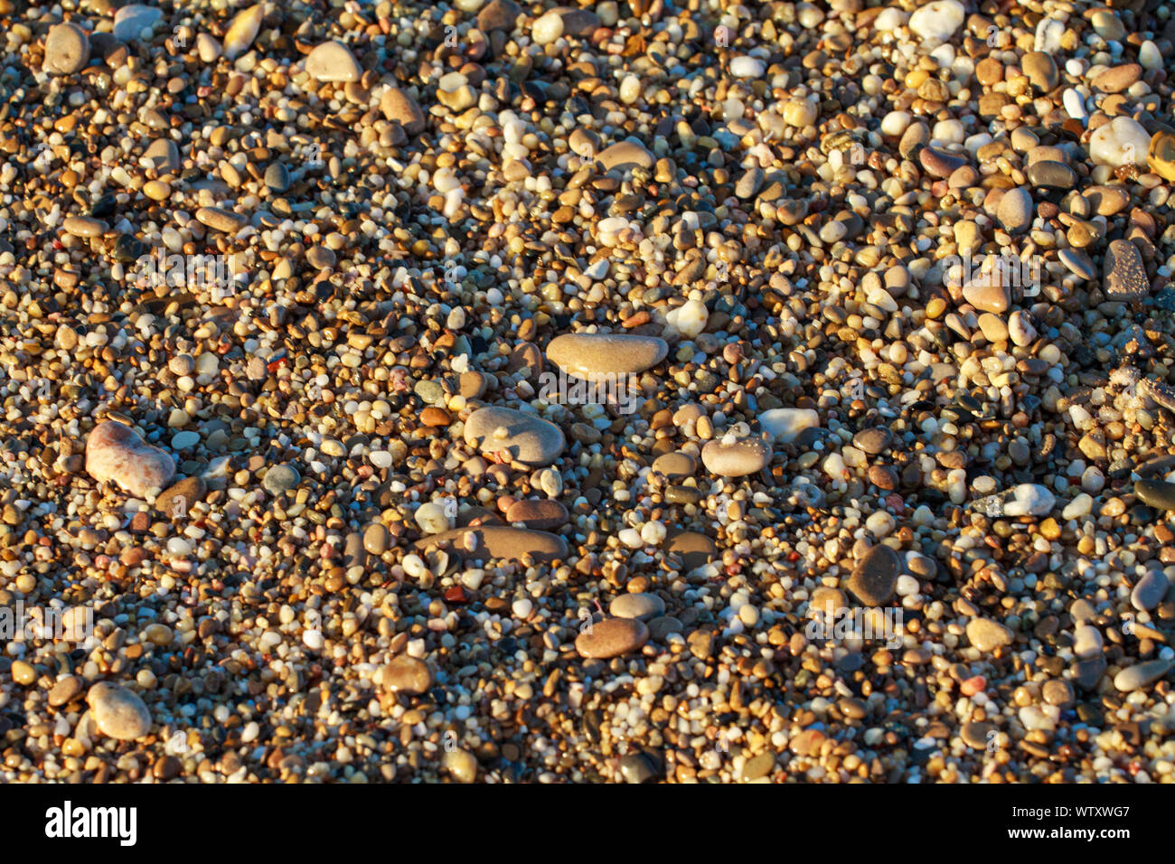 sea pebbles colored granite on the beach background stones. The shore ...